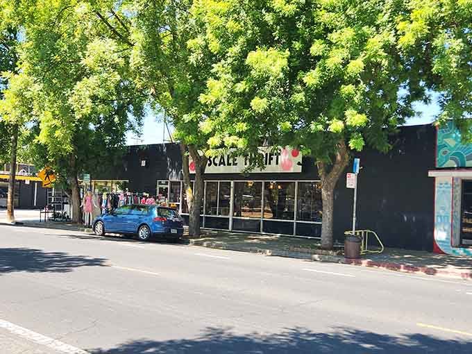 Shaded by beautiful trees, this storefront practically whispers "come discover something special" as you walk by.