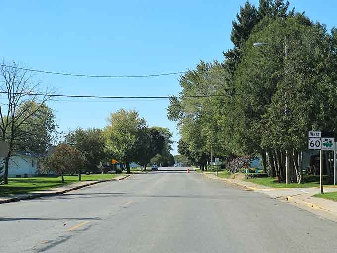 Tree-canopied streets stretch endlessly forward, inviting you to slow down and remember what peaceful Sunday drives used to feel like.