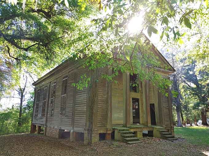Greek Revival columns rise from the forest floor, a testament to ambitions that outlasted their builders by generations.