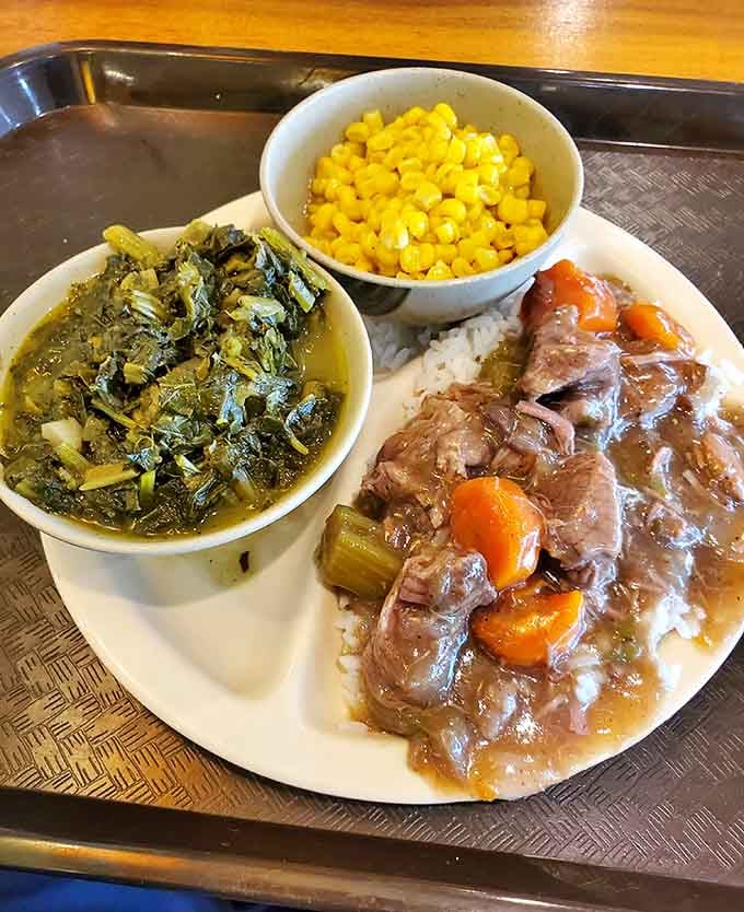 Tender beef stew with carrots swimming in rich gravy, the kind that warms you from the inside out.