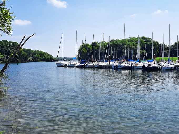Sailboats lined up like soldiers at attention, ready to transform ordinary weekends into nautical adventures on demand.