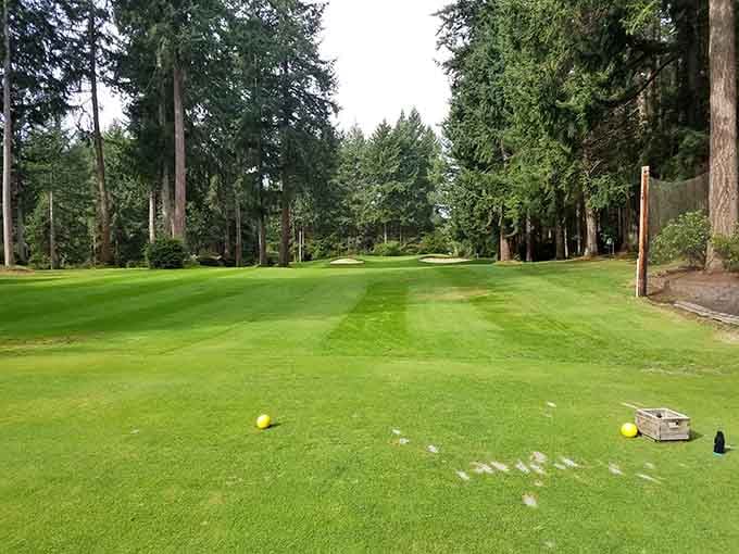 Manicured fairways surrounded by towering trees make every golf swing feel like a scene from Caddyshack, minus the gopher.