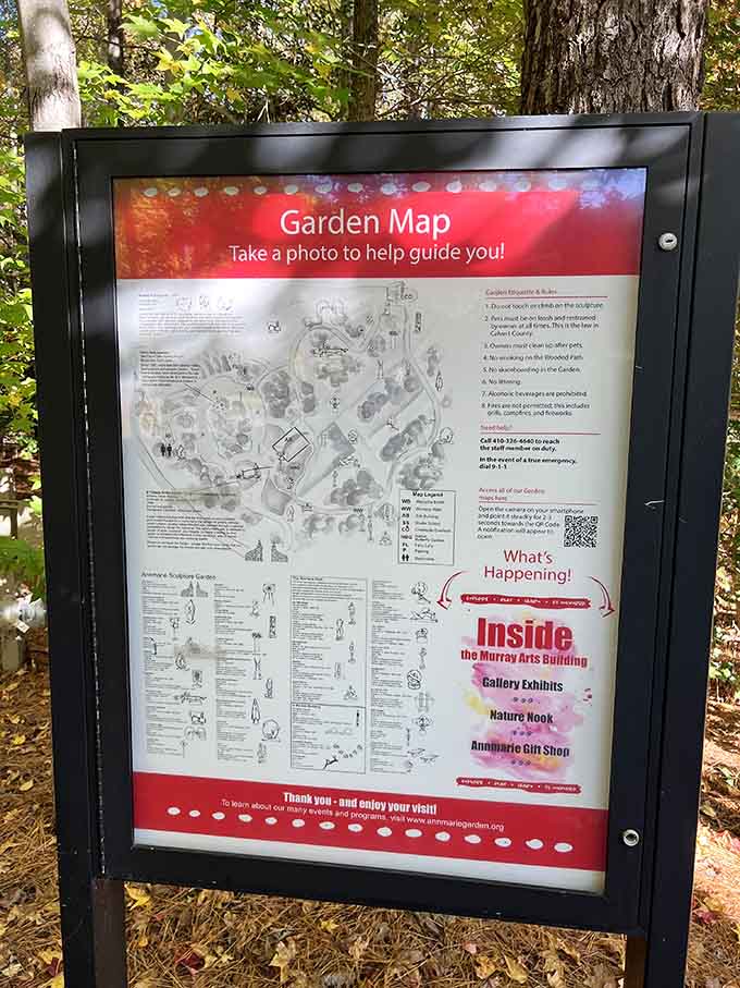 Your roadmap to artistic adventure, proving that getting lost in art is actually the whole point here.