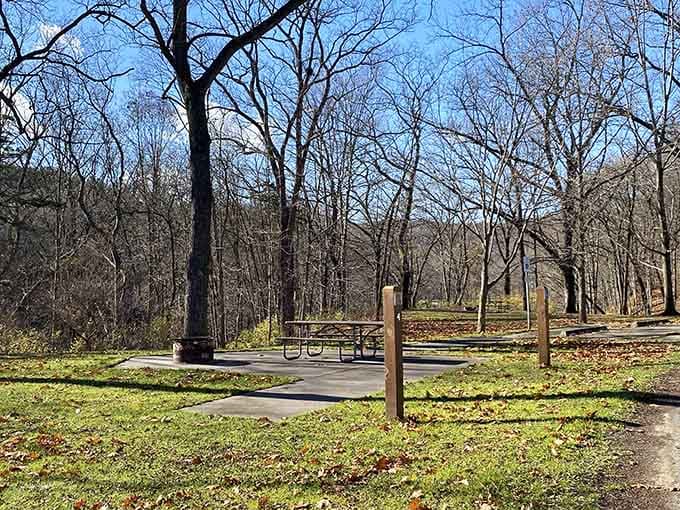 Picnic spots with canyon views beat any restaurant patio, and the dress code is wonderfully casual.