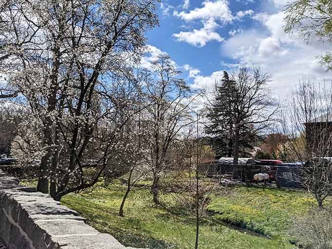 Spring blooms frame the landscape like Mother Nature decided to show off her entire color palette at once.