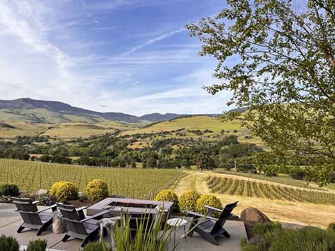 Vineyard views that make you understand why people quit their jobs and move to wine country.