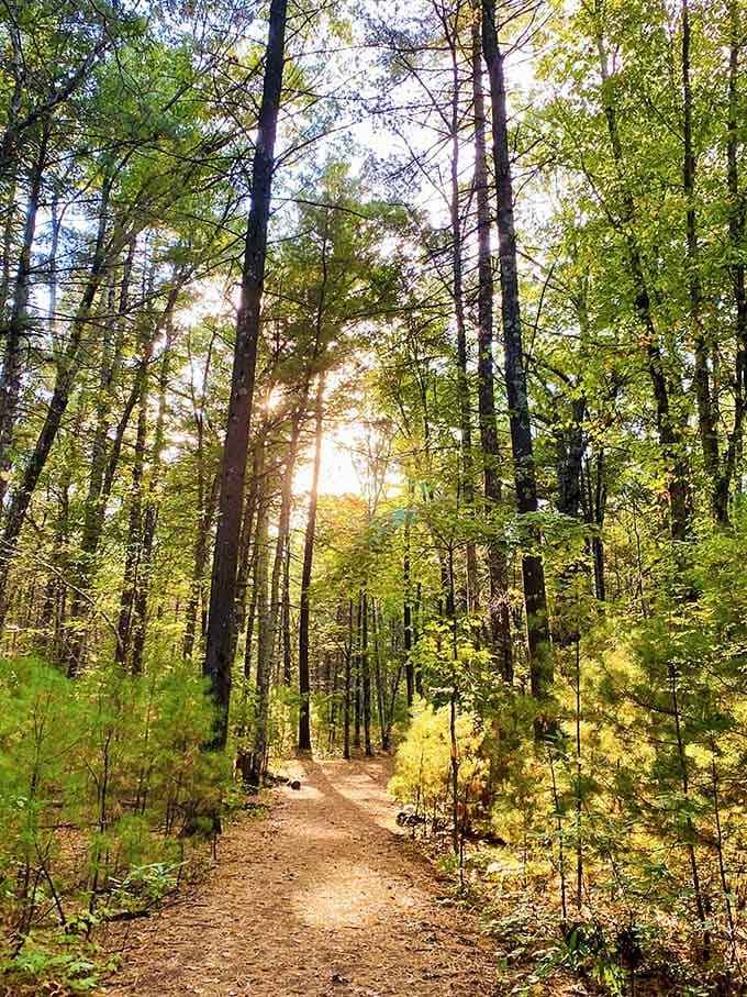 Every great adventure starts with a path like this, leading somewhere beautiful and away from everything stressful.