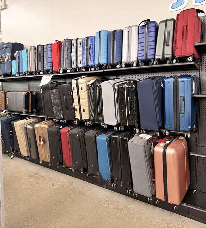 Luggage lined up like colorful soldiers, ready to accompany your adventures without requiring a travel-sized budget.