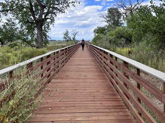 The boardwalk beckons you closer to the water, where herons hunt and eagles survey their kingdom.