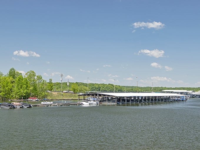 Boats bob peacefully at the marina, waiting to take you exploring across 10,000 acres of water.
