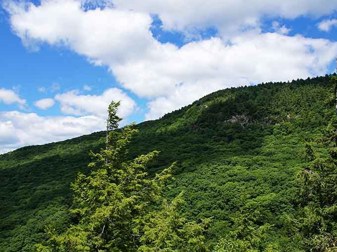 Rolling green mountains stretch endlessly, proving Massachusetts has more than just historical landmarks to offer.