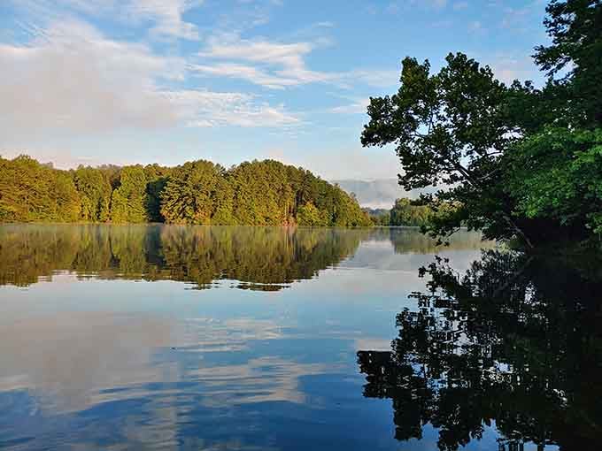 Trees lean over the water like they're admiring their own reflections, and honestly, who could blame them for the vanity?