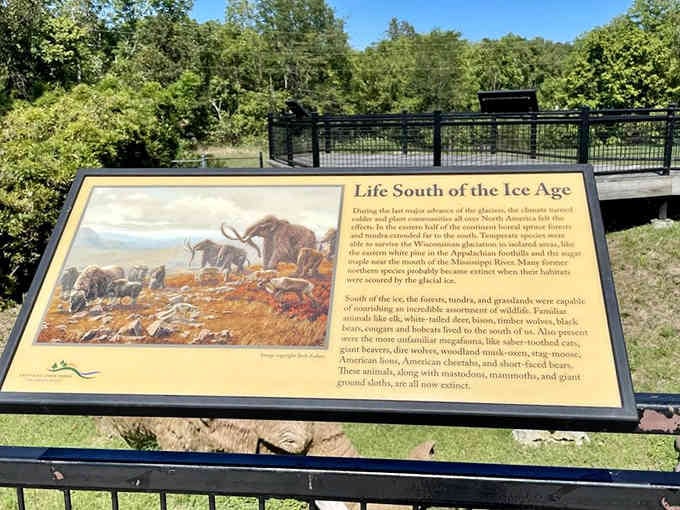 This interpretive sign brings the Ice Age to life, showing you exactly what grazed here before shopping malls existed.
