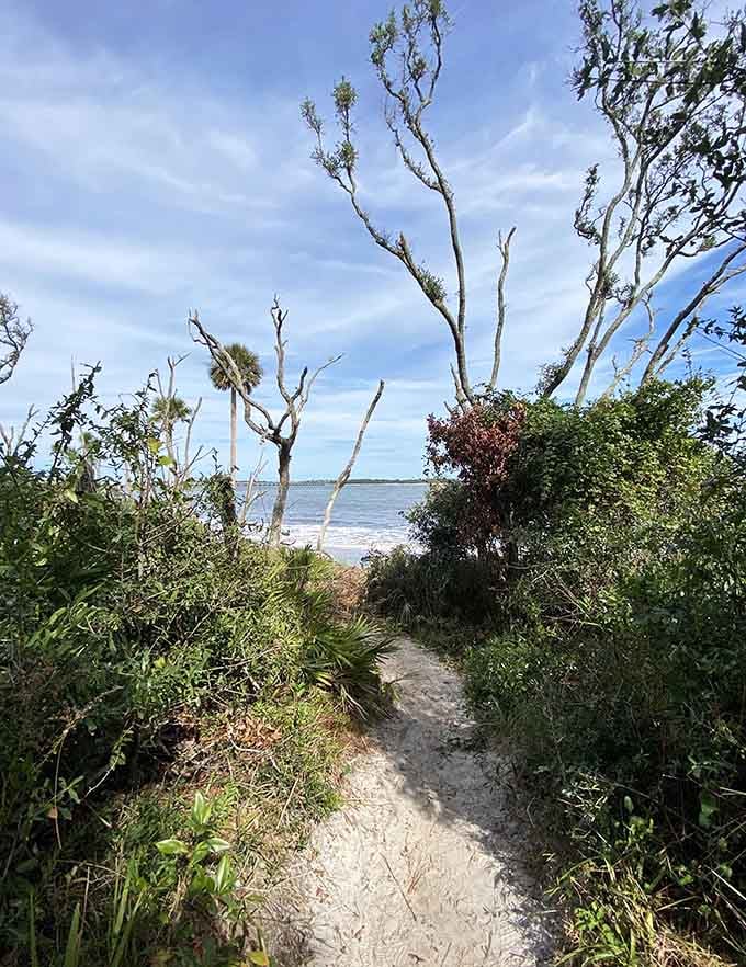 Sandy paths beckon explorers through coastal vegetation that's been thriving here for centuries.