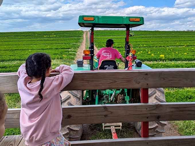 Kids watching tractors work is apparently still more entertaining than any screen, and honestly, they're onto something here.