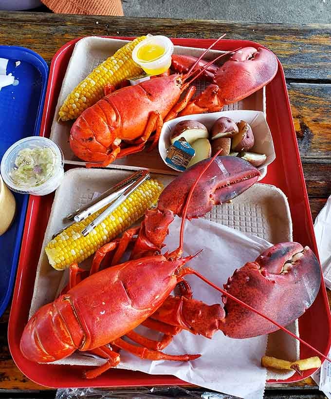Two bright red beauties ready for their close-up, complete with corn and butter because some traditions are worth keeping.
