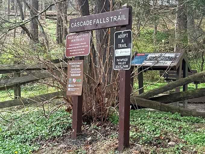The Cascade Falls Trail sign marks your gateway to adventure, because every great journey needs a proper introduction.