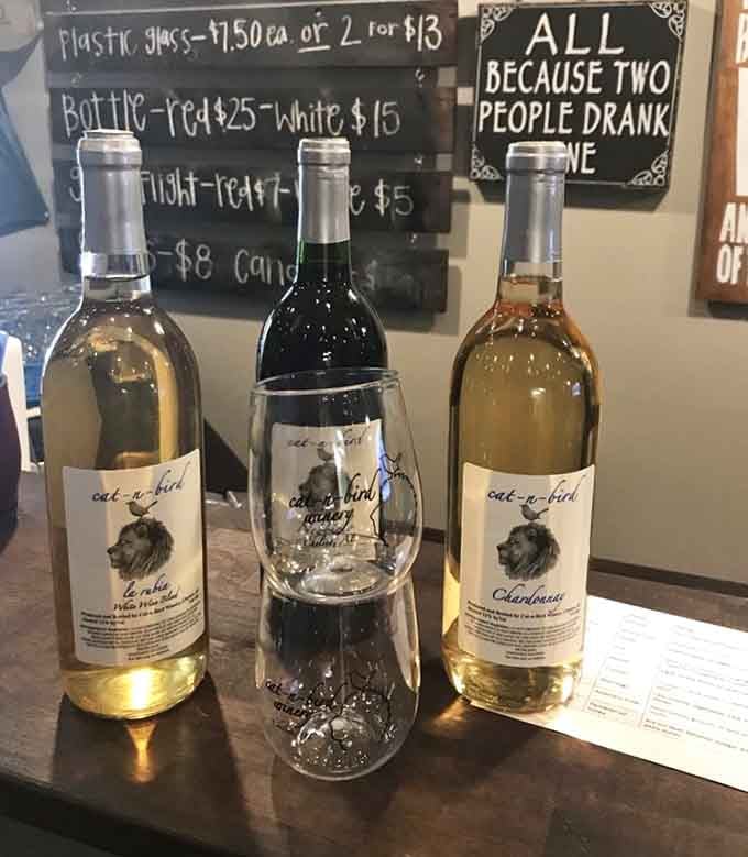 Three bottles standing ready to transform your ordinary afternoon into something worth remembering fondly.