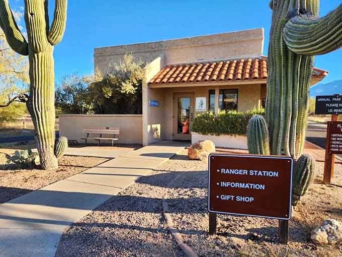 Your gateway to desert adventures starts here, where rangers know every trail and every secret the park holds.