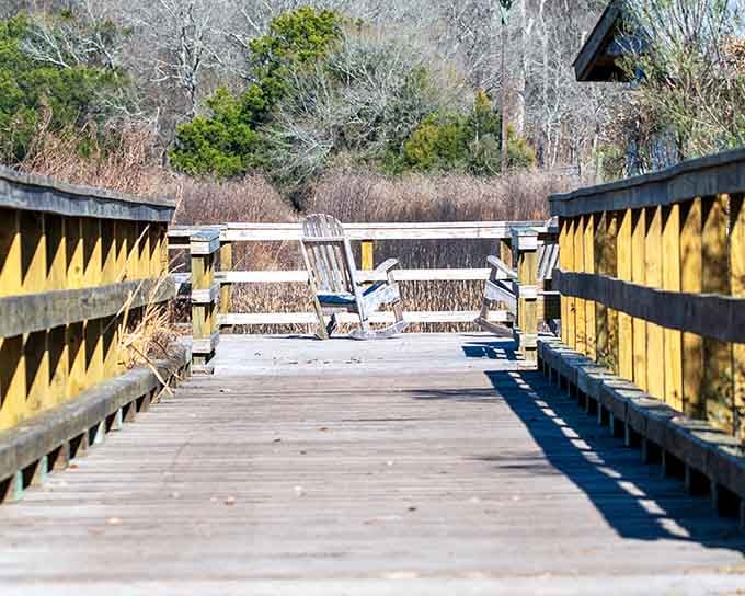 This observation deck with benches offers front-row seats to nature's theater, where the wildlife performs daily shows without ticket prices.