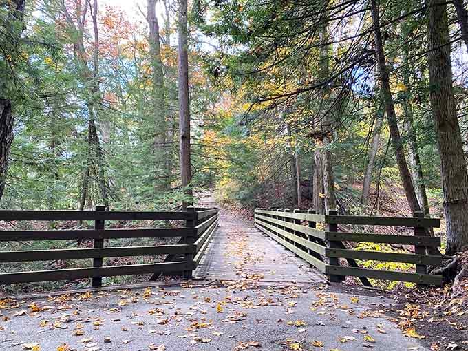Tree-lined paths lead you to the main attraction, building anticipation with every step toward the rushing water.