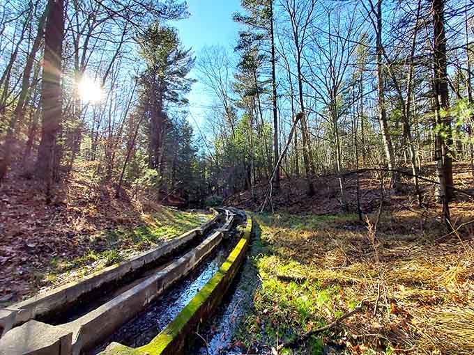 Historic waterways flow through the preserve like liquid time machines to Michigan's natural past.