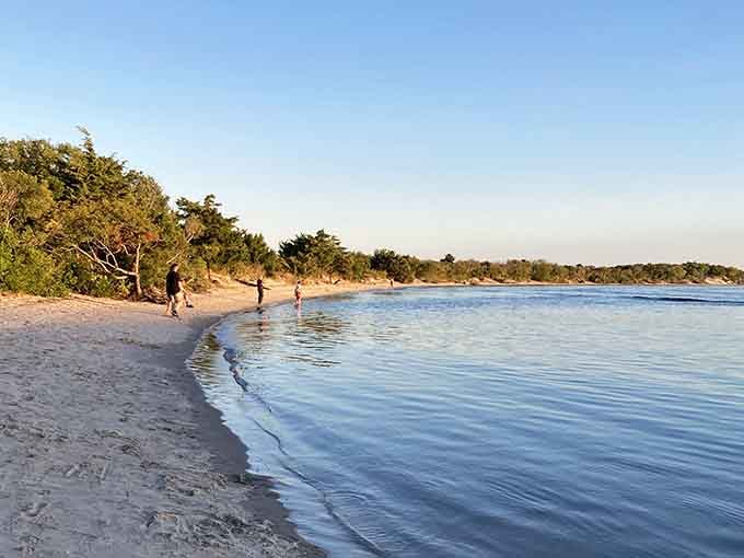 The bay side beach offers calm waters and twisted trees, like nature's own sculpture garden by the shore.
