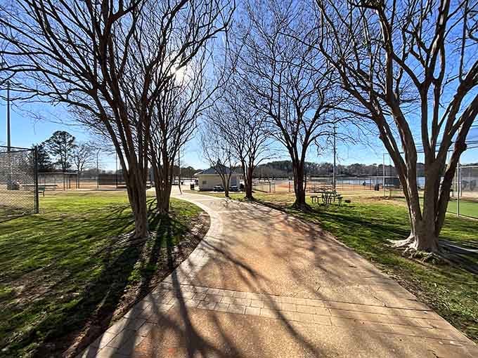 City Pond Park's walking paths are perfect for contemplating life's big questions, like why you don't visit more often.