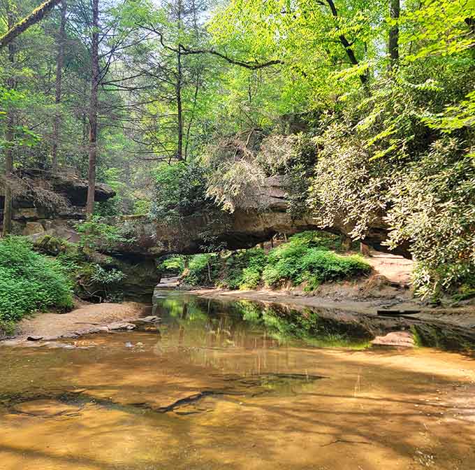Rock formations creating natural architecture that would make any engineer jealous of Mother Nature's resume.