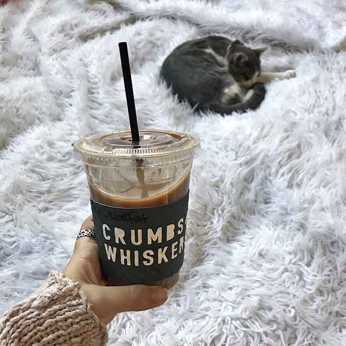 That branded sleeve means business&mdash;you're officially part of the cat caf&eacute; club, one delicious sip at a time.