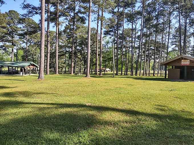 Towering pines frame open spaces where families gather, proving nature's the best architect for creating peaceful retreats.