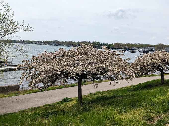 Spring blooms frame the waterfront like nature's own Instagram filter, except this beauty requires zero editing whatsoever.