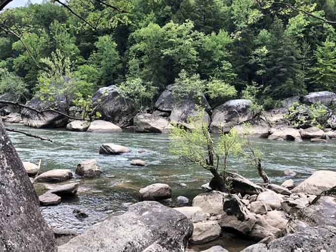 The Cumberland River's rocky shores create natural sculptures that took millions of years to perfect, no artist required.