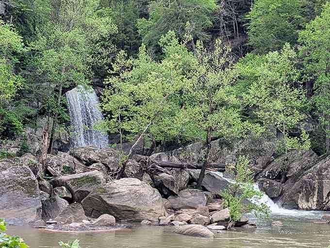 Ancient boulders scattered along the riverbank tell stories millions of years old, each one a chapter in Kentucky's geological history.