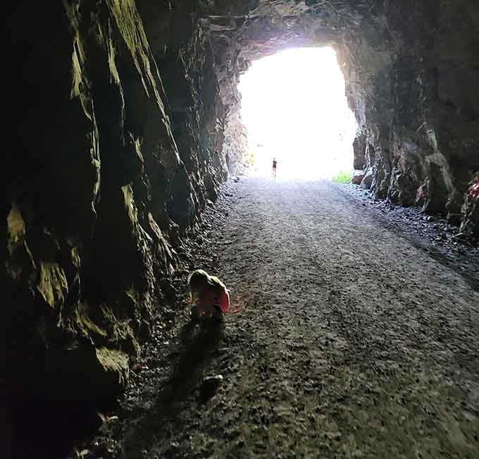 That circle of daylight ahead promises fresh air and forest views worth every step.