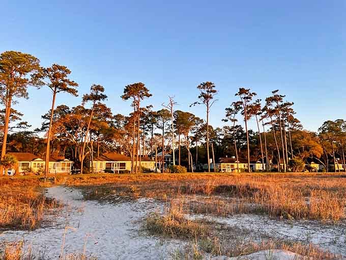 Golden hour transforms simple island cottages into something magical, where maritime forests meet marshland in perfect harmony.