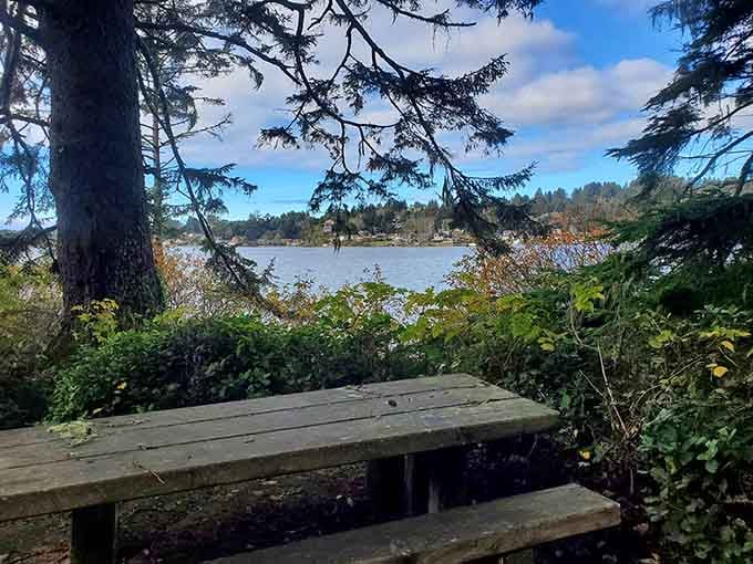 A lakeside picnic table provides the perfect spot to enjoy lunch while contemplating why office cubicles even exist.
