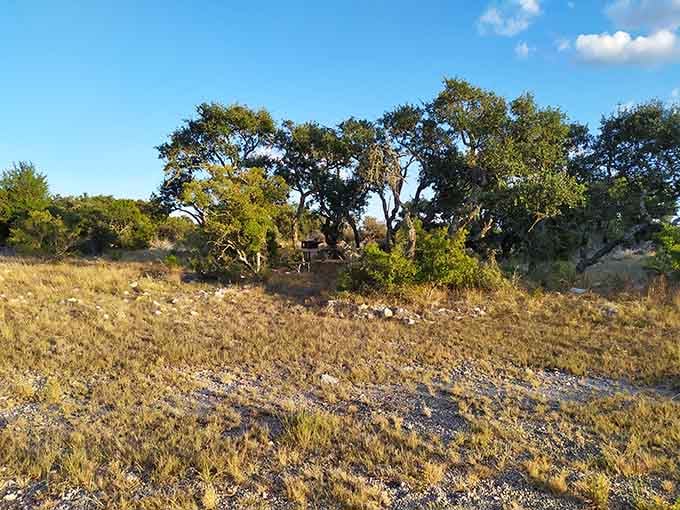 Classic Hill Country landscape where oak trees have been perfecting their silhouettes longer than we've been taking selfies.