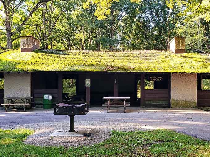 These picnic shelters have hosted more family reunions and awkward potato salad conversations than you can imagine.