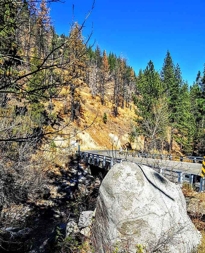 This bridge crosses more than just a creek, it's your gateway to elevation and perspective adjustments.