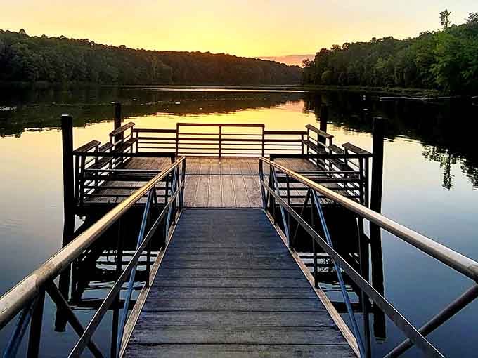 Richard B. Russell State Park delivers sunsets so stunning you'll forget to check your phone for hours.