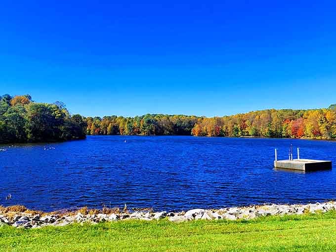 Centennial Lake sits there looking impossibly blue, practically begging you to grab a bench and forget about your to-do list entirely.