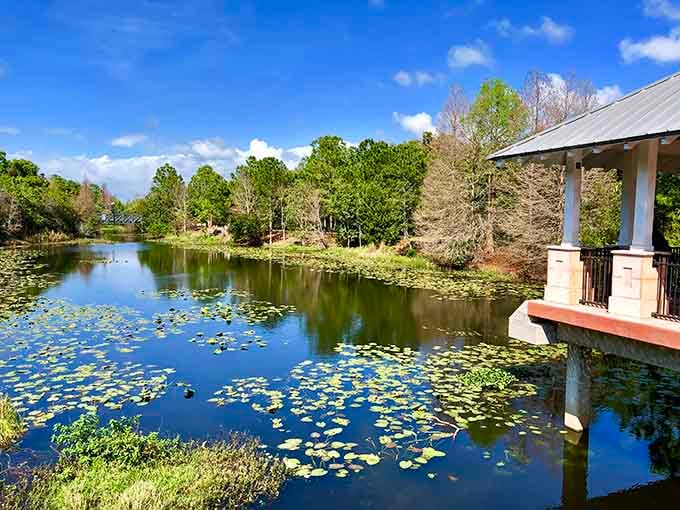 Lily pads float peacefully across the pond, creating a scene Monet would've set up his easel for.