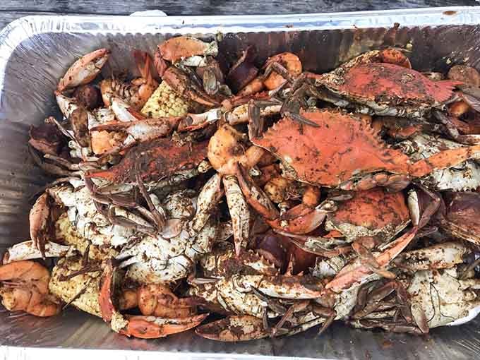 These steamed crabs are ready for their close-up and your dinner table, preferably with a mallet and good company.
