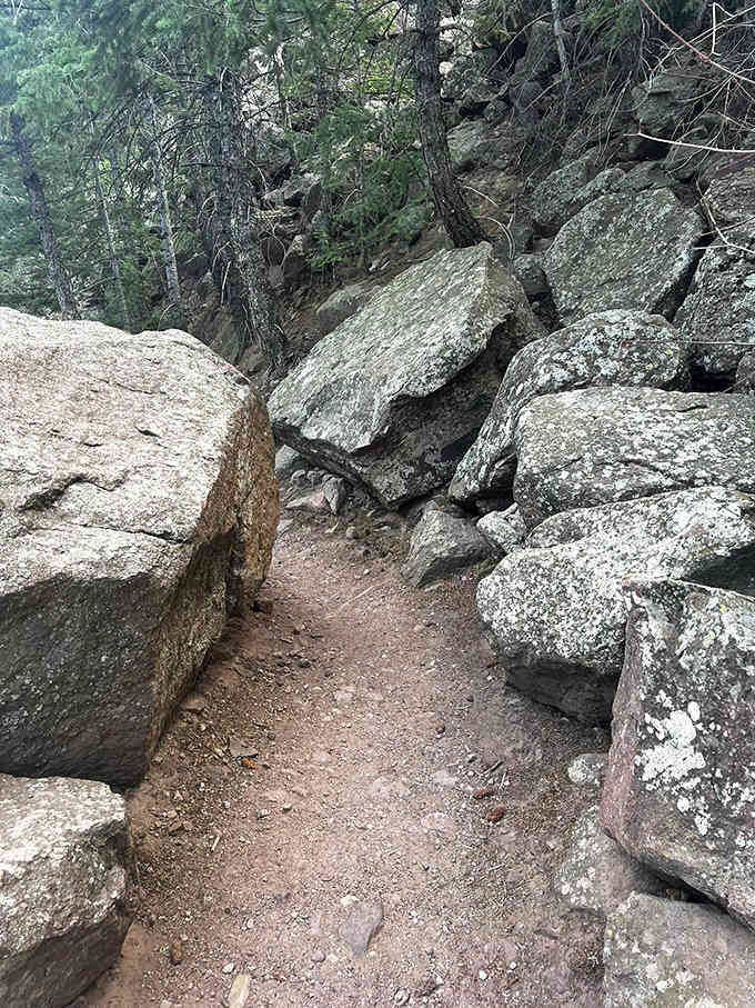 The trail navigates through ancient boulders that create natural sculptures, each one more photogenic than the last.