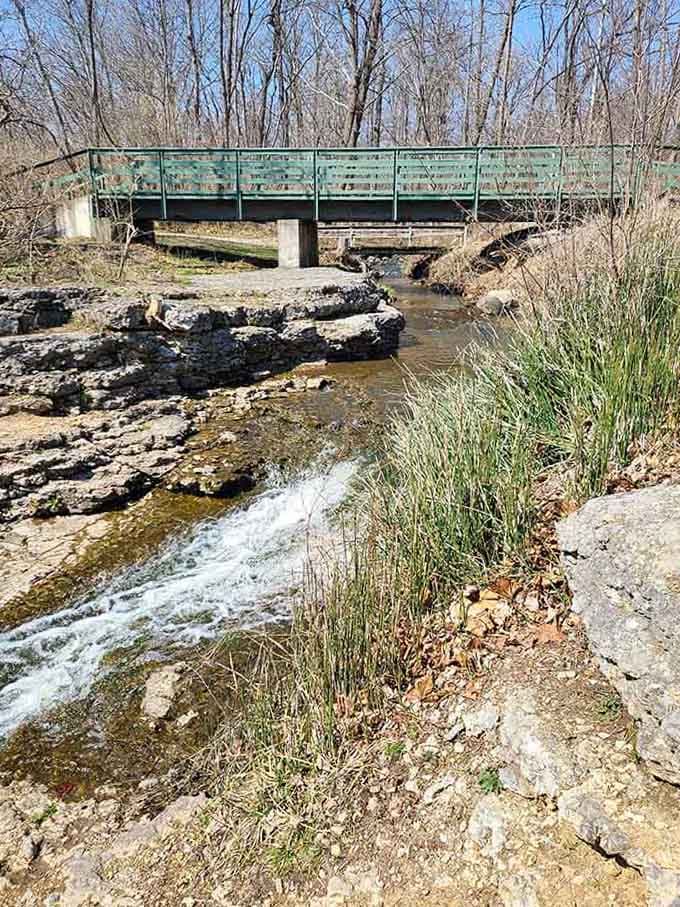 Charming footbridges crossing crystal streams, because even nature needs a little architectural flair sometimes.