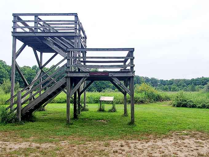 This observation tower offers views that'll make your knees weak and your camera roll very, very happy.