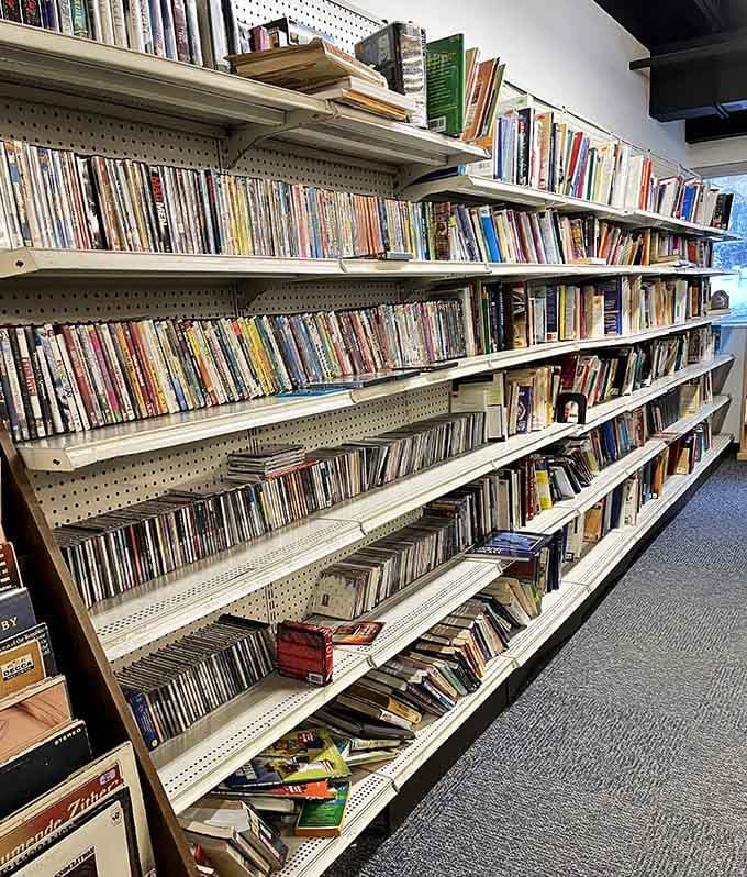 Books and media galore prove that entertainment doesn't require streaming subscriptions or outrageous spending sprees.