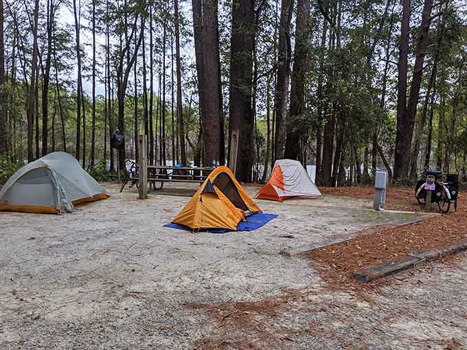 Camping under the pines where your biggest decision is which s'more recipe to try tonight, not which streaming service.