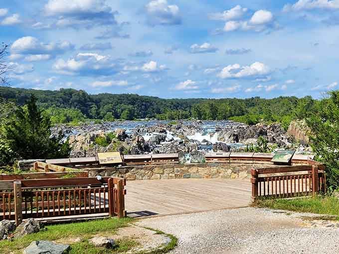 Great Falls roars with the kind of natural power that makes you remember nature always wins in the end.